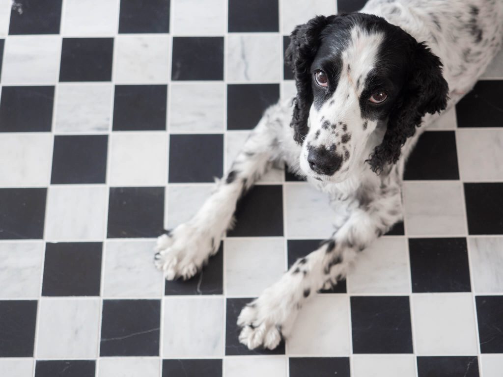 Checkerboard Honed Calacatta and Nero Marquina Marble - Starel Stones