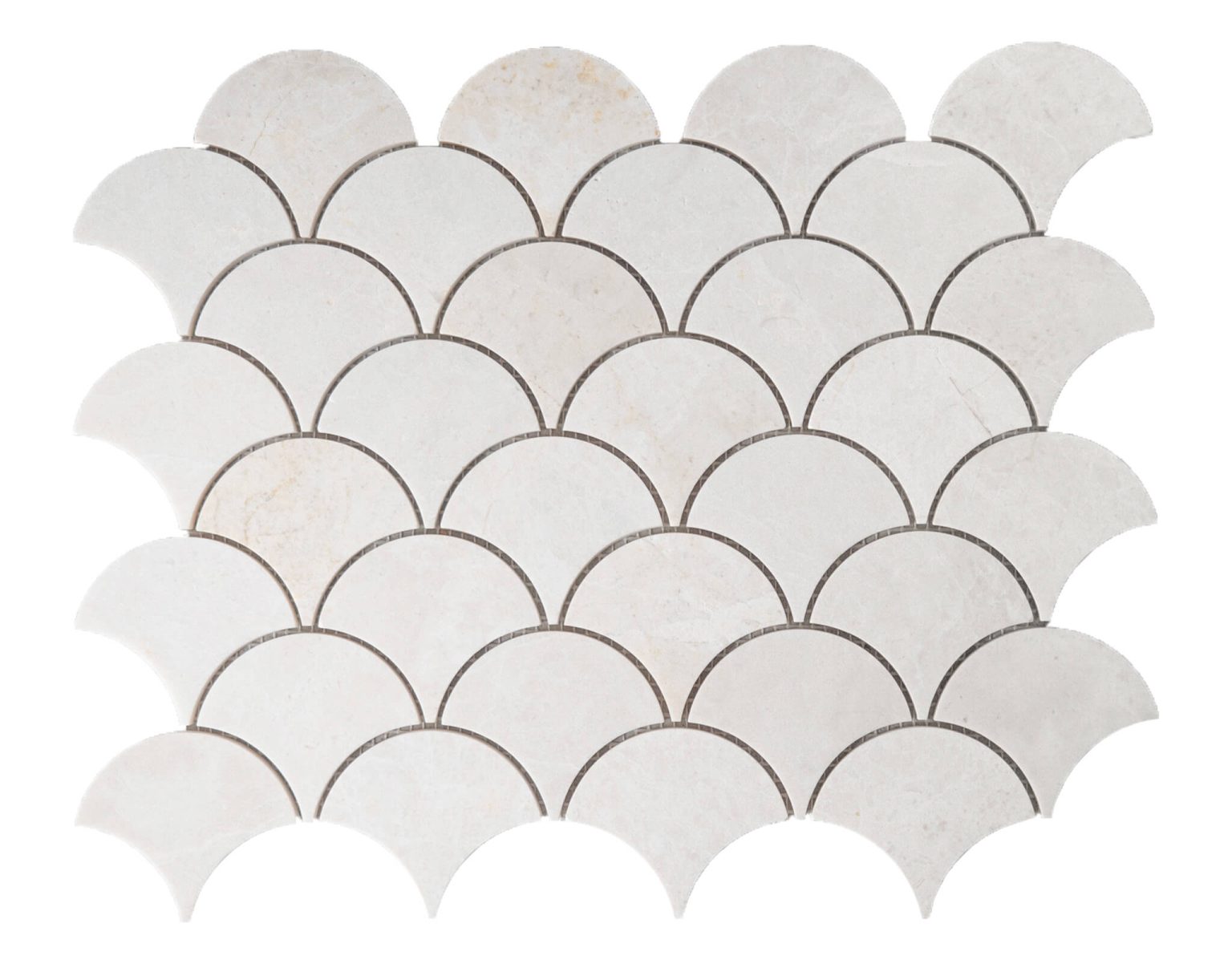 White Emperador Marble Scallop Shell Mosaic - Starel Stones